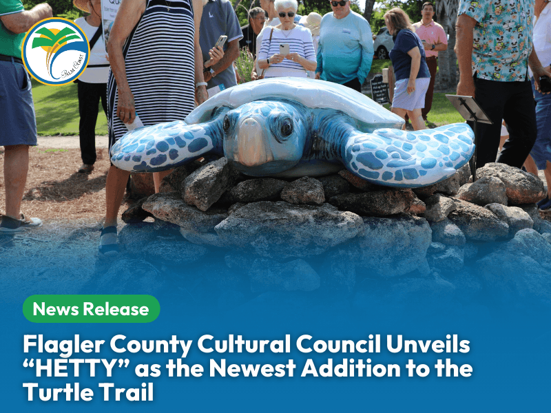 Flagler County Cultural Council Unveils “HETTY” as the Newest Addition to the Turtle Trail ...