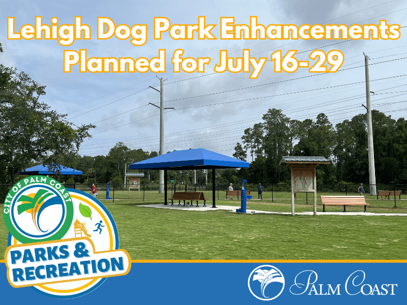 Lehigh Trailhead Dog Park Enhancements Planned for July 16-29 | Palm ...
