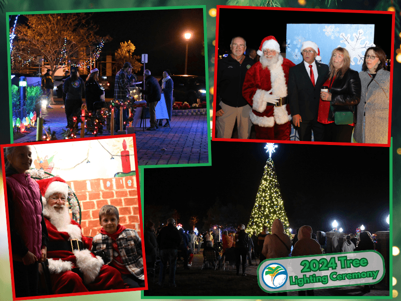 13th Annual Tree Lighting Ceremony in Palm Coast Brings the Holiday ...