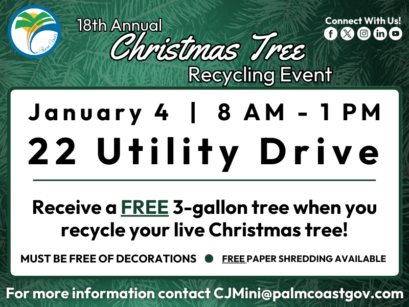 Join Us for Palm Coast’s Annual Christmas Tree Recycling Event This ...