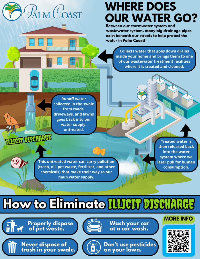 Stormwater 101 | Palm Coast Connect
