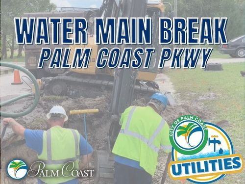 Palm Coast Connect